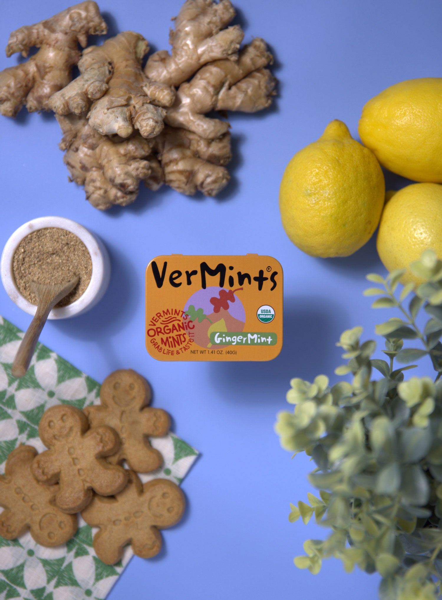 About – Vermintsltd